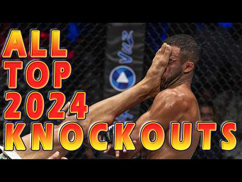 All Top Knockouts 2024 in MMA