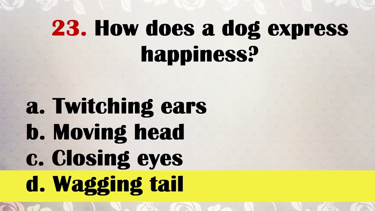 Science Kids Quiz GK Questions Answers in English | Science Quiz For ...