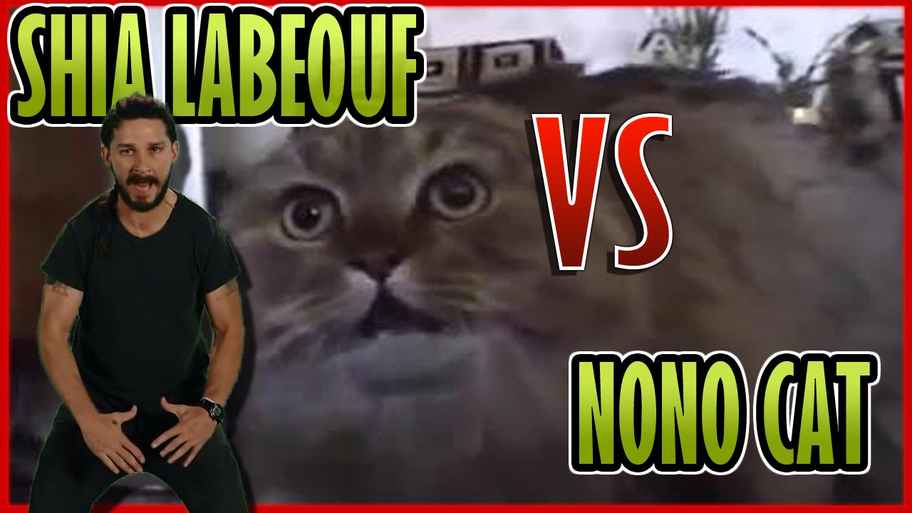 Shia LaBeouf motivating Nono Cat - YouTube