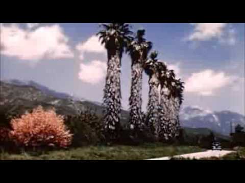 Earth Days 2009   Full Movie dc  14