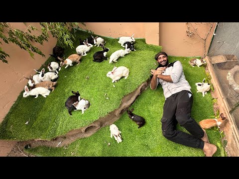 Mud Rabbit House Ready Hogea Rabbits Ko Ghr Bht Pasand Aya😍