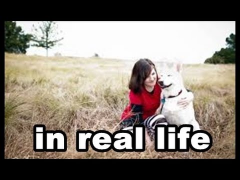 Personagens De Bolt: Super Cão Na Vida Real (Bolt In Real Life) - YouTube