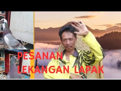 Tak bertuan. Lelangan lapak bagus dan murah @idola812 - YouTube
