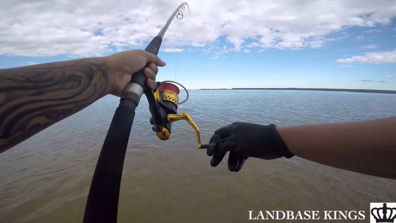 LANDBASE KINGS Stockyard Point (30-4-16) - YouTube