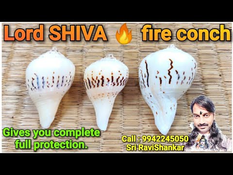 Lord SHIVA 🔥 fire conch. (Gives you complete full protection) - YouTube