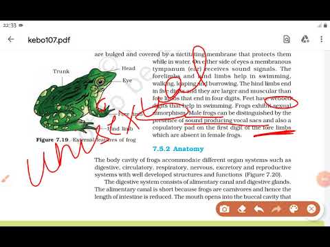 Class 11 Lesson- 7 part- 7 Structural organisation in Animals ...