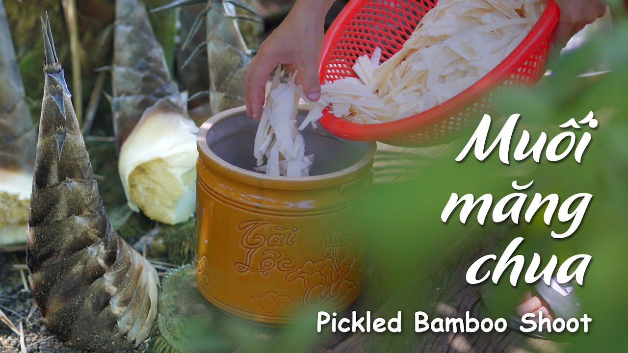 Pickled Bamboo Shoot Vietnamese Traditional Cuisine - YouTube