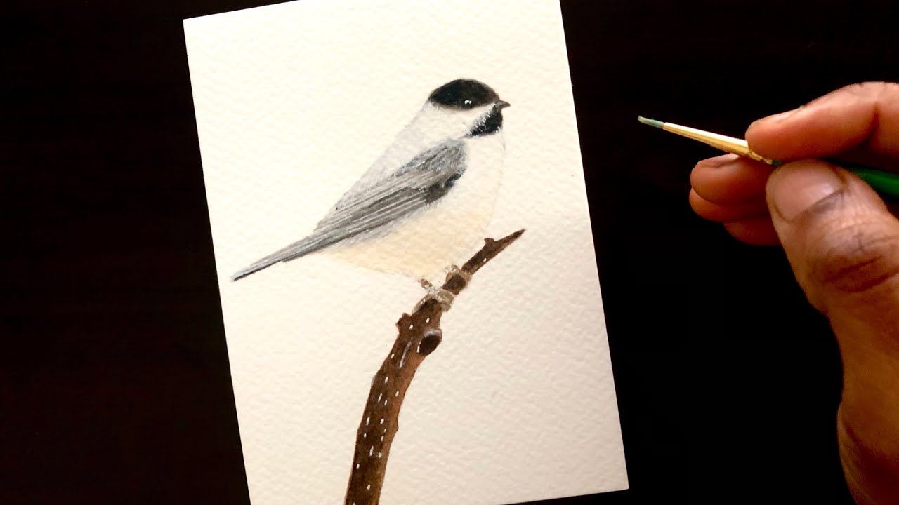 How To Paint A Realistic Chickadee With Watercolors & Gouache: Easy ...