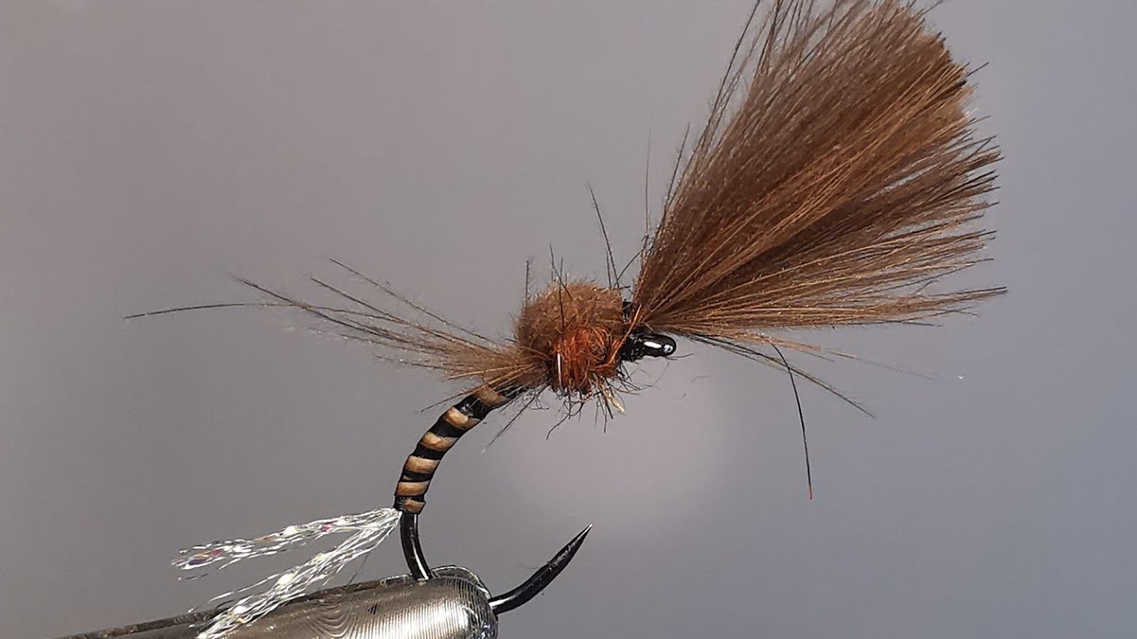 CDC Quill emerger - YouTube