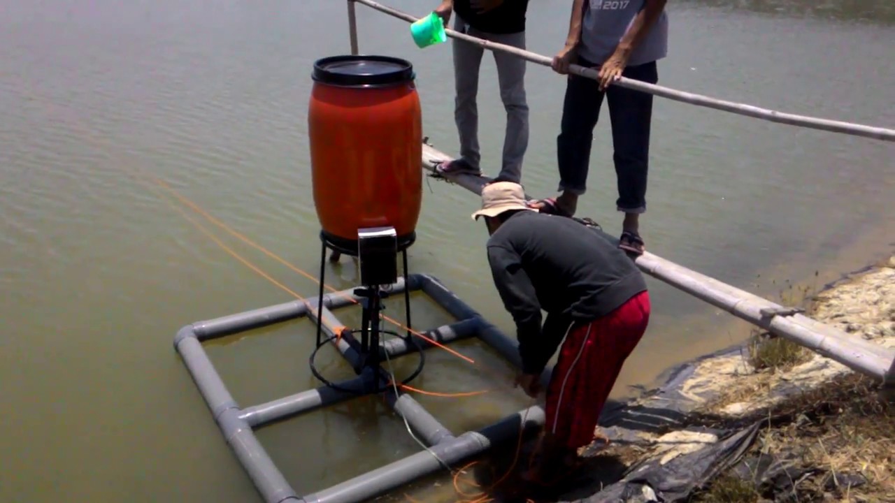 Kalibrasi Pakan (Smart Feeder Fish) - YouTube