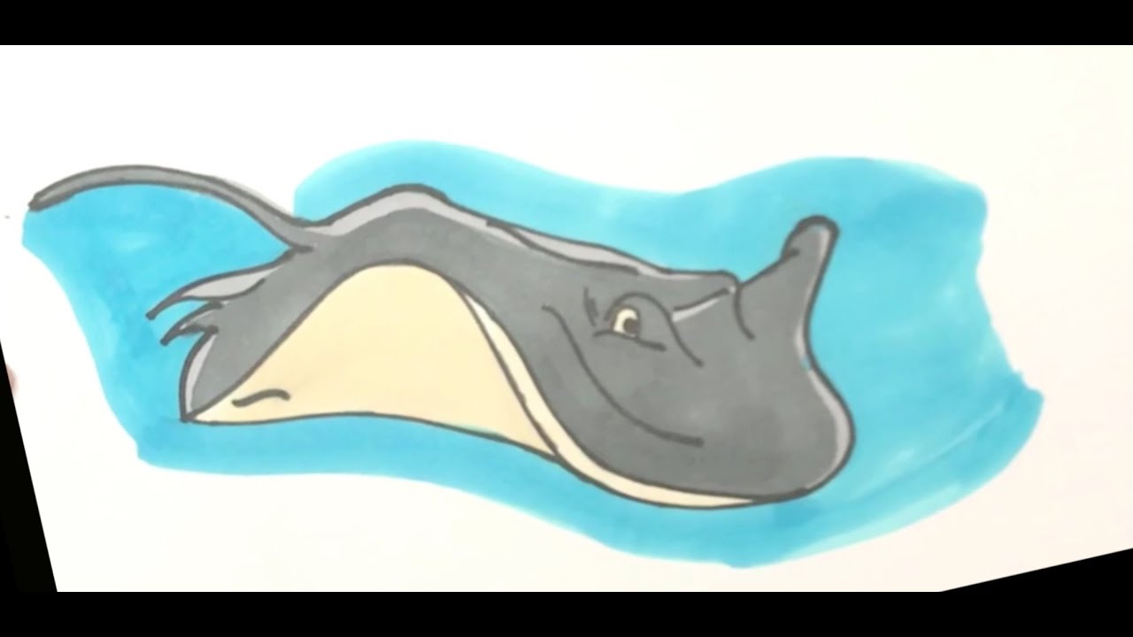 Rochen malen und zeichnen einfach Rochen malen lernen leicht Malkurs ...