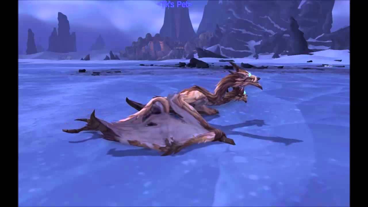 Rylak pet from Warlords of Draenor. - YouTube