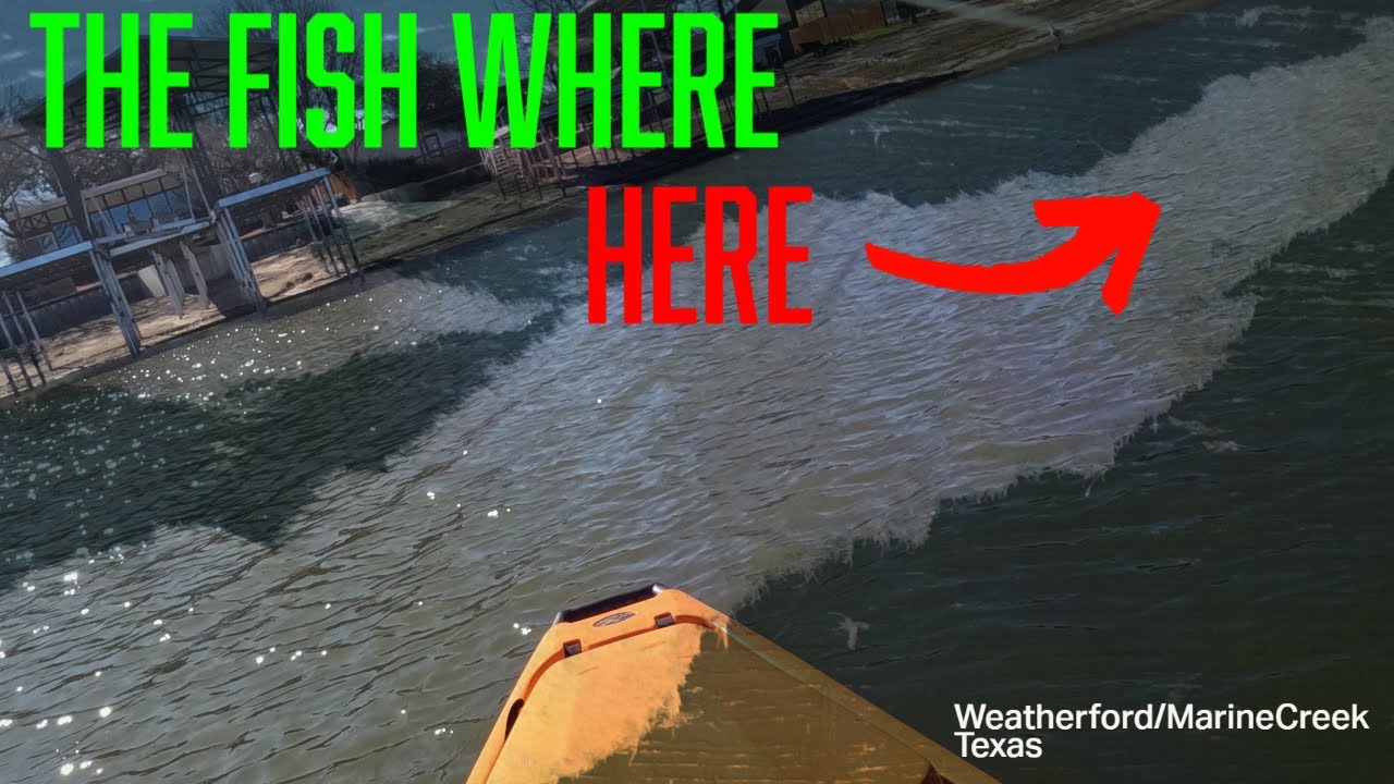 This Goose is an A$$ : FISHING A 7FT LOW LAKE: WEATHERFORD LAKE TEXAS ...