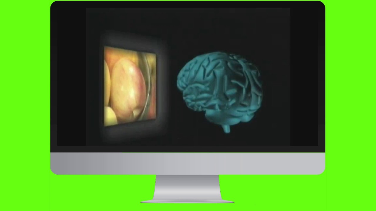 The Holographic Universe Documentary - What Is The True Nature Of ...