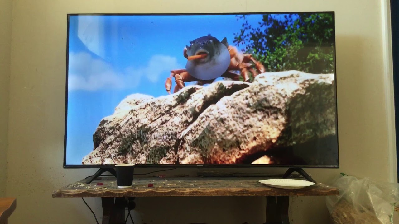 Pufferfish rave - YouTube