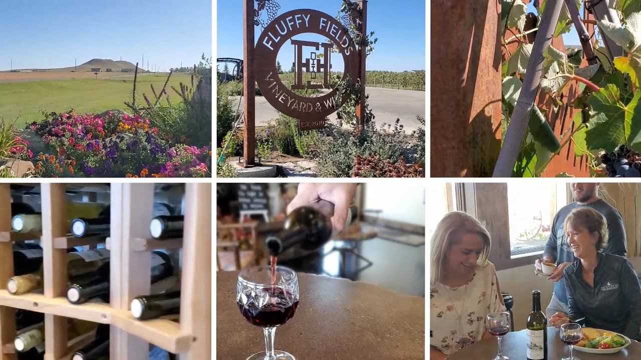The Story of Fluffy Fields Vineyard & Winery | Dickinson, ND - YouTube