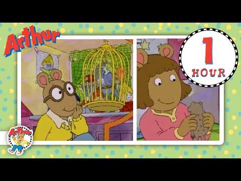 Arthur & D.W. Visit The Pet Shop & MORE! | Full Episodes | ARTHUR