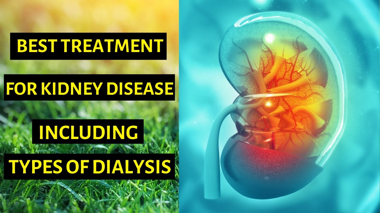 Treatment Options For Kidney Disease At Home - Including Types Of ...