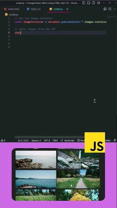 Learn How to Add Hover Effects with HTML & CSS - YouTube