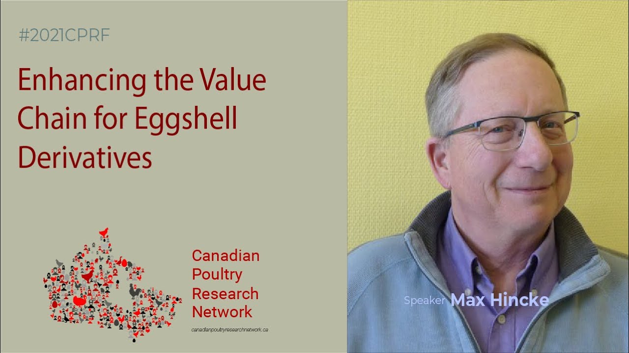 Enhancing the Value Chain for Eggshell Derivatives - YouTube