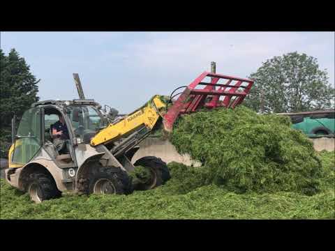 BROOKVALE FARMS KRAMER BUCKRAKING - YouTube