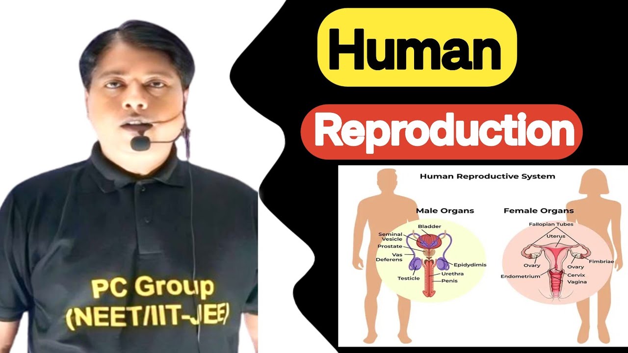 Manav Janan मानव जनन | Human Reproduction | Male Gamete & Female ...