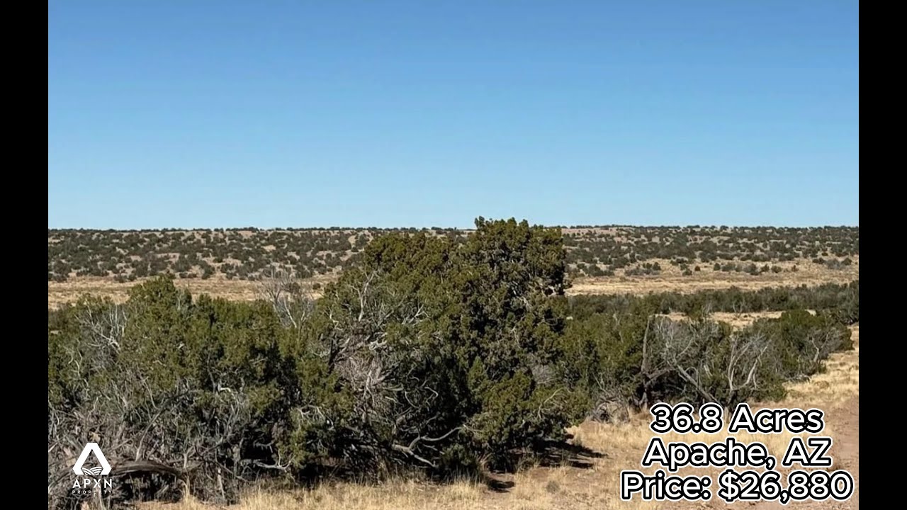 36.8 Acres, Apache County AZ, Parcel 204-64-810.mp4 - YouTube