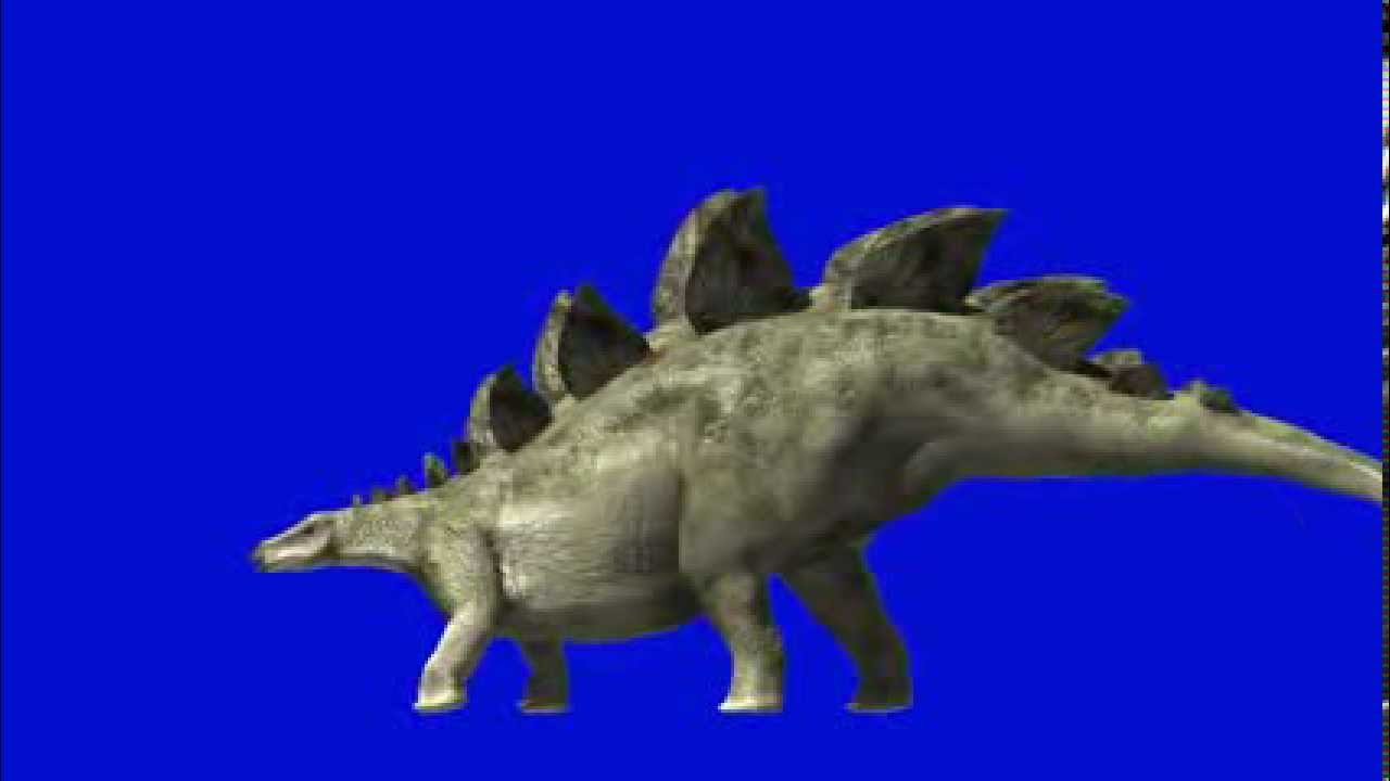 Jurassic Park Stegosaurus blue screen (chroma key green screen ...