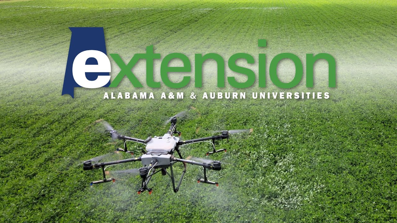 Alabama Extension: A Trusted Partner - YouTube