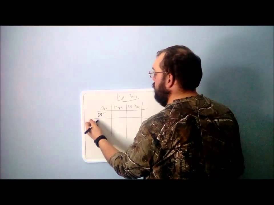 What is a Dot Tally? How to keep count of trees while timber cruising ...