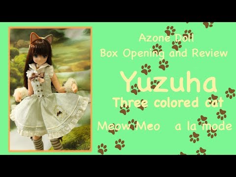 Doll Box Opening and Review: Yuzuha Three Colored Cat, Meow Meow a la mode