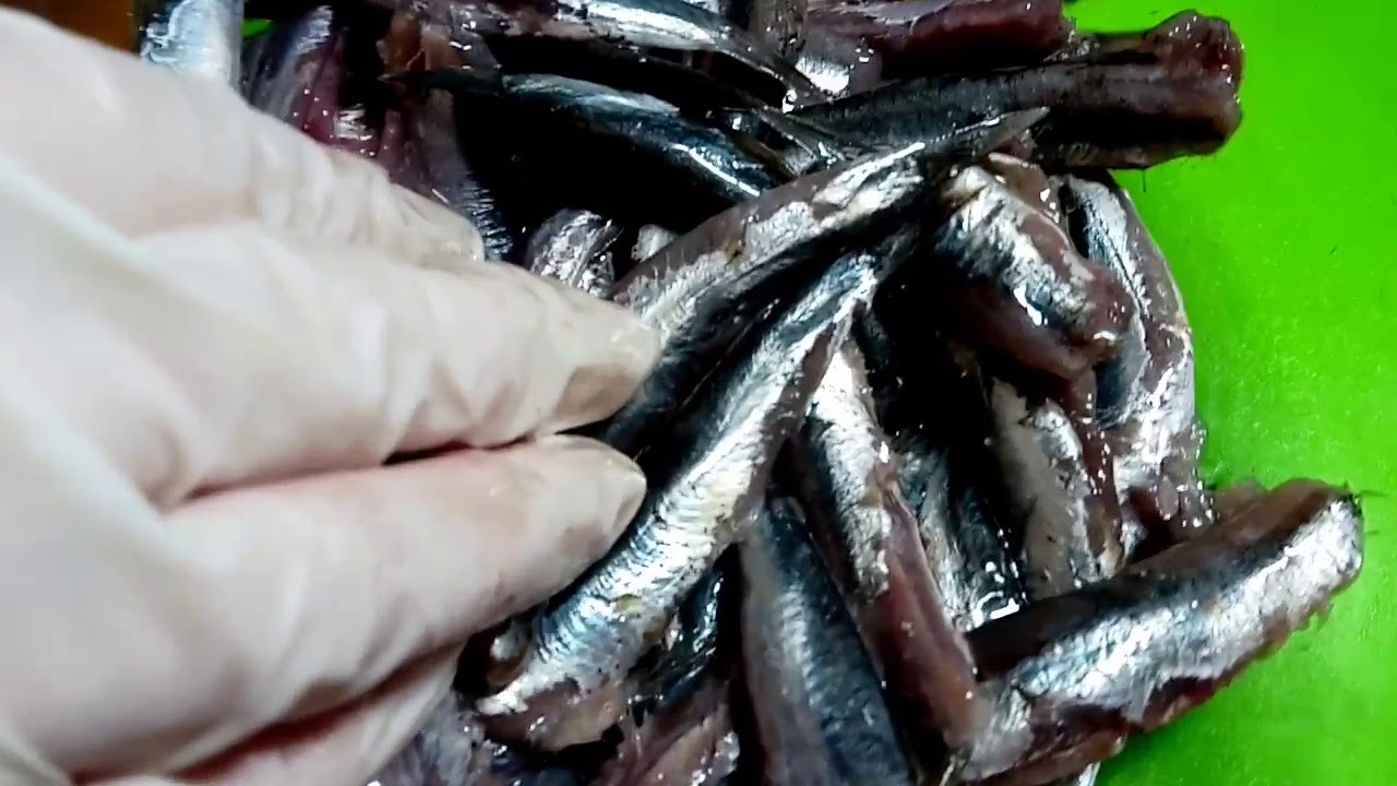 Peste marinat. - YouTube