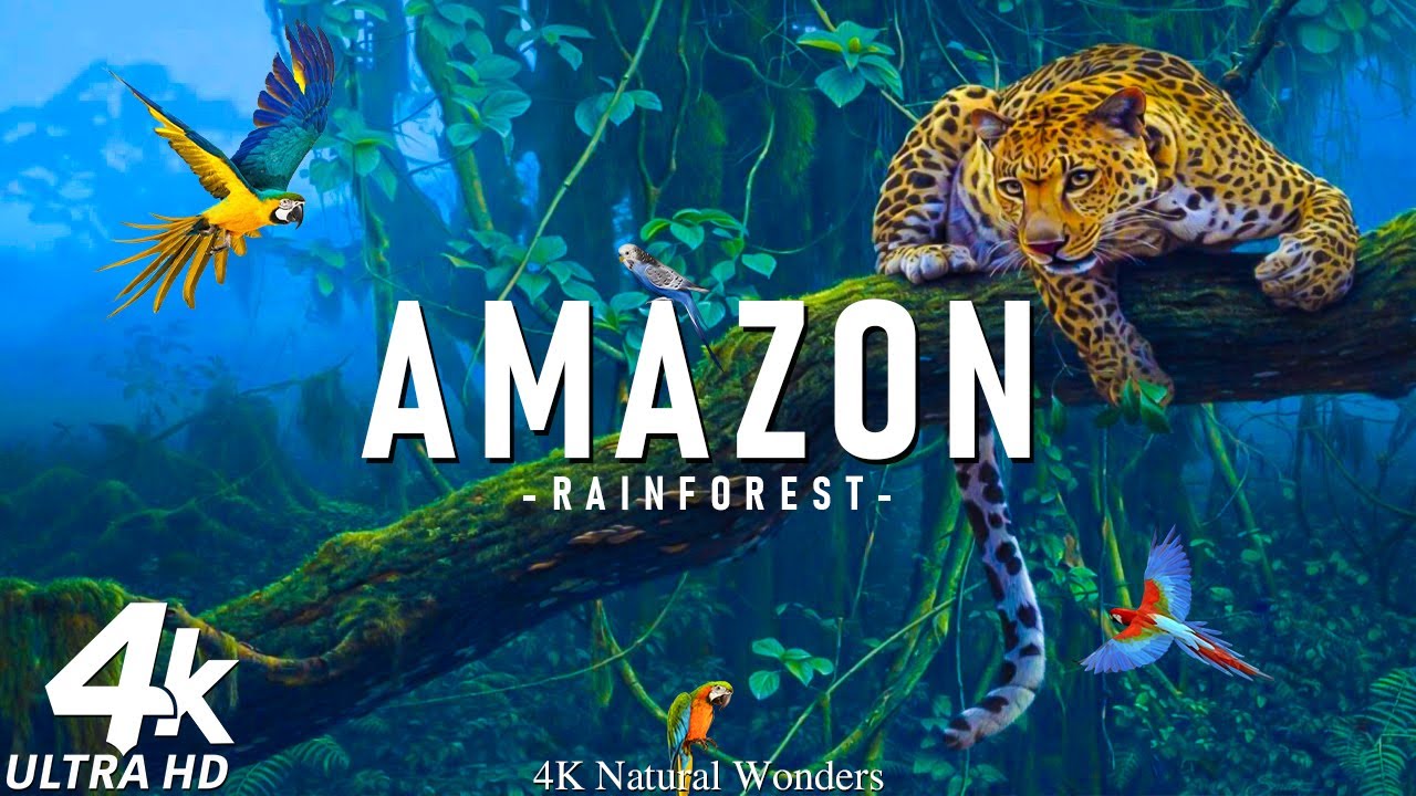 FLYING OVER AMAZON 4K UHD - Relaxing Music Along With Beautiful Nature ...