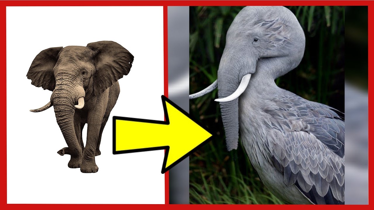ELEPHANT TRANSFORMATION PART 1.Mouse,Snake,Walrus, Hippopotamus, Bird ...