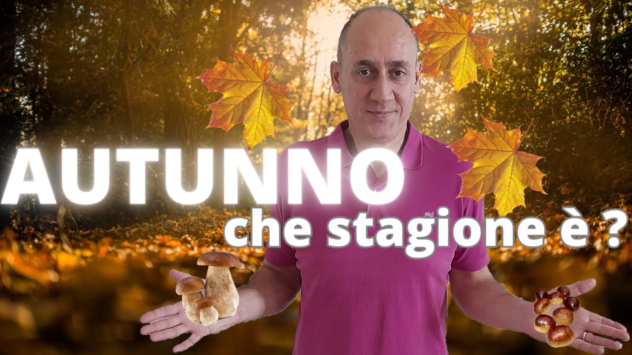 La parola AUTUNNO cosa significa?Perché l'AUTUNNO?Che cosa è l'AUTUNNO ...