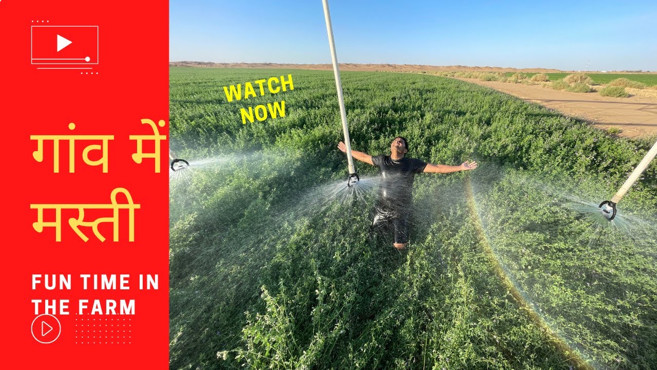 Fun in the Saudi Farm | Saudi agriculture system | Hail trip - YouTube