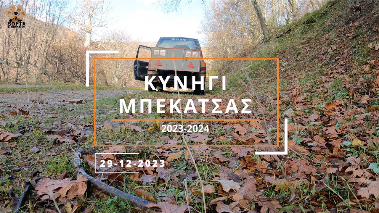ΚΥΝΗΓΙ ΜΠΕΚΑΤΣΑΣ 29/12/2023 / Woodcock Hunting / Caccia alla Beccaccia ...