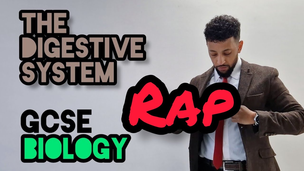 Science Raps: GCSE Biology - The Digestive System - YouTube