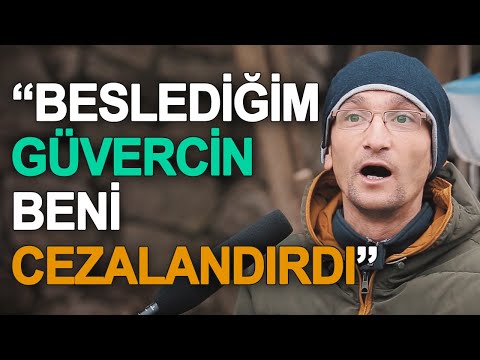 Yüzlerce Limoni İle Dolu Oyun Kuşu Kümesi - Limonici Yüksel Güvercin Kümesi Ziyareti