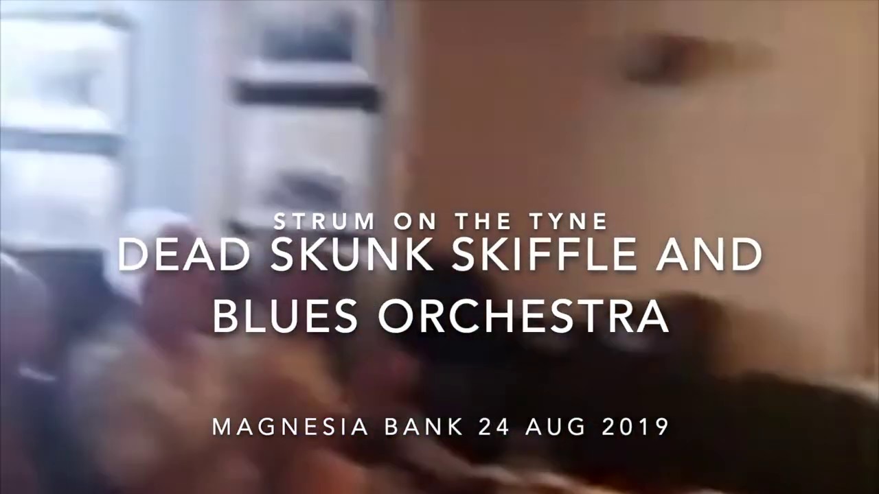 Dead Skunk Skiffle and Blues Orchestra, Strum on The Tyne, Crossing The ...