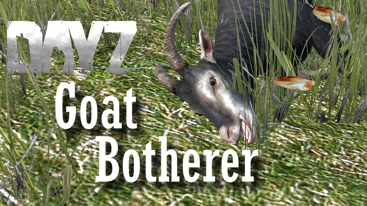 The Goat Botherer! (DayZ Standalone) - YouTube