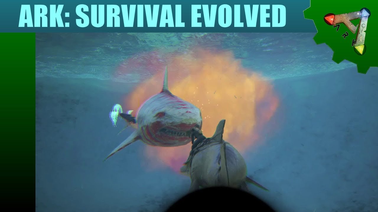 ARK Adventures - Filling our Pond with Water Tames - YouTube