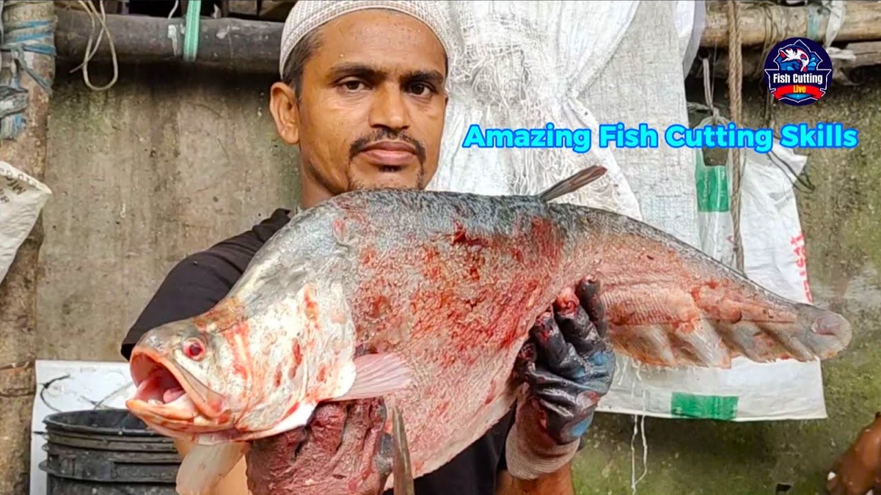 Chitol Fish Cutting By Expert Fish Cutter l Amazing Fish Cutting Skills ...