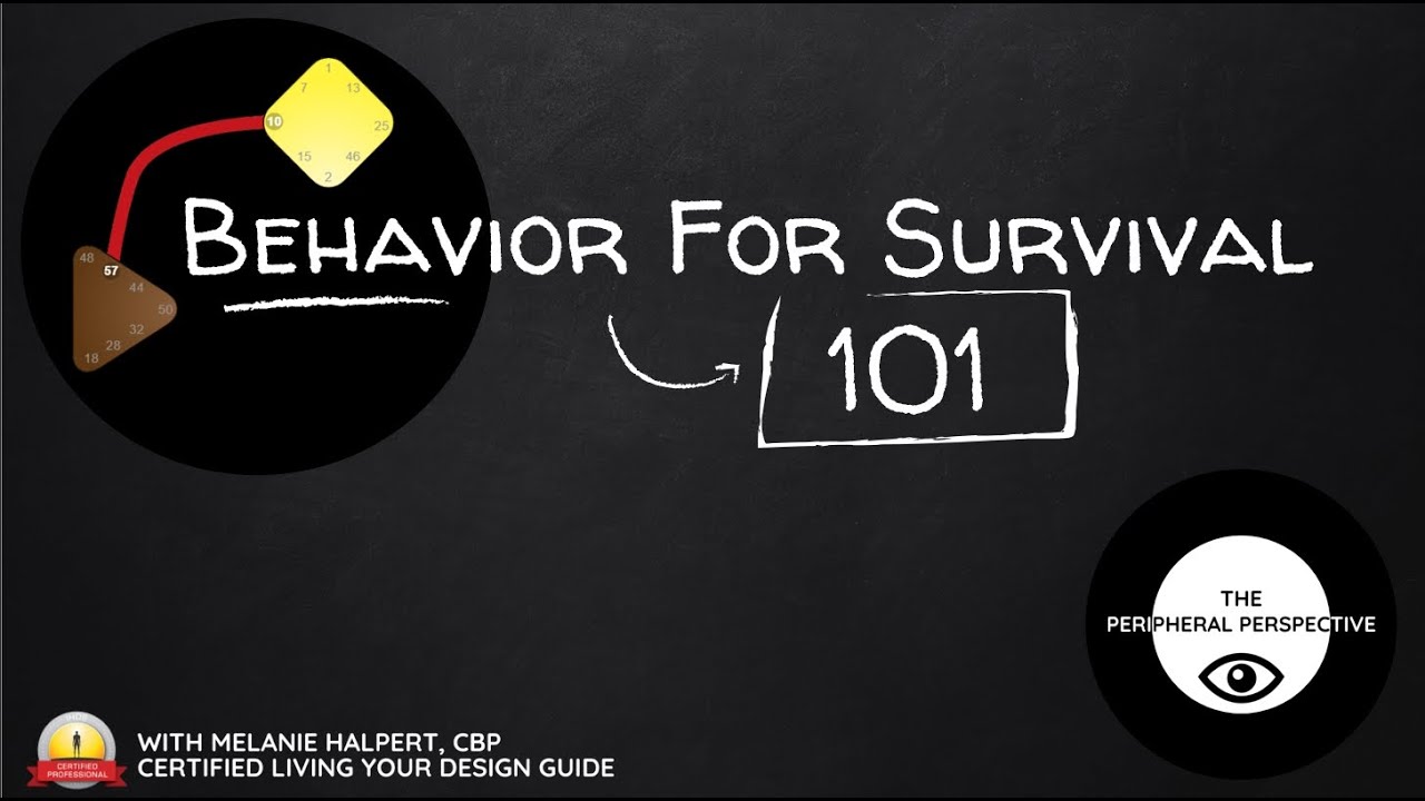 Human Design | Behavior for Survival 101 - YouTube