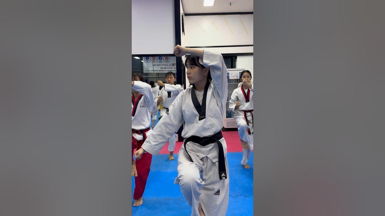 [HTS TKD] 금강(2품/단) 요약하기🥋 - YouTube