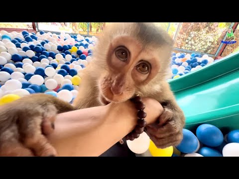 How does Sam monkey tease Khanh? - YouTube