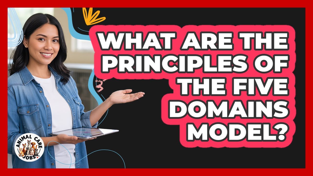 What Are The Principles Of The Five Domains Model? - YouTube