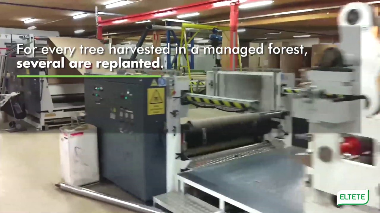 How Eltete is leading the way in sustainable packaging & logistics ...