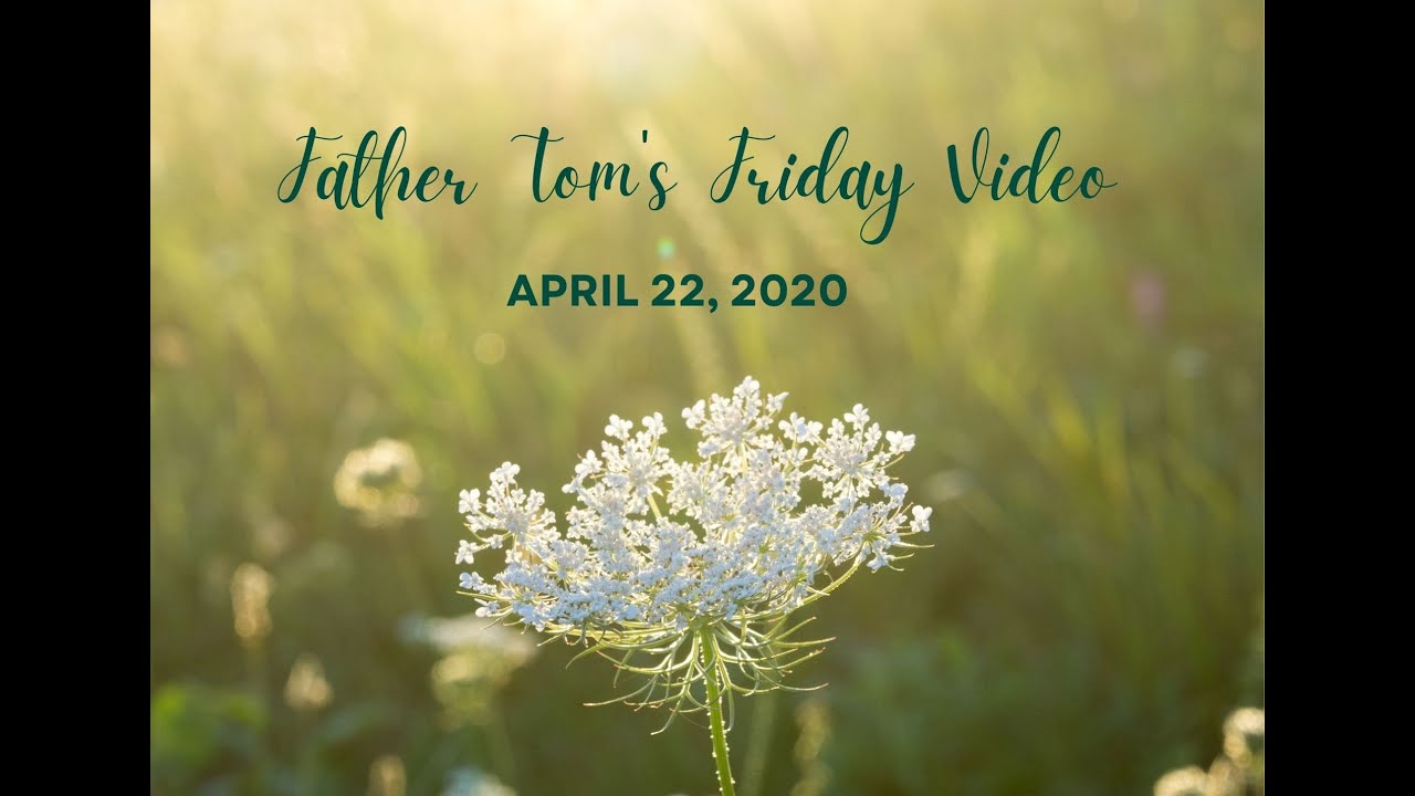 Father Tom's Friday Video for April 22, 2022 - YouTube