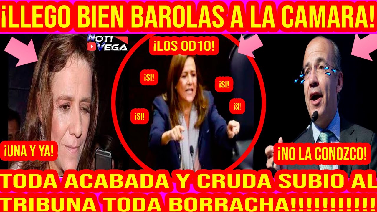 JAJA SABADO VIRAL. GANGOSA Y ACABADA ¡MARGINFLAS LLEGO A LA CAMARA TODA ...